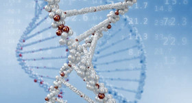 Using A DNA Test To Prove Paternity In A Custody Dispute